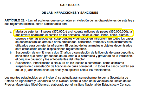 Con mil billetes del yaguareté se paga la multa por vender su piel - # ...